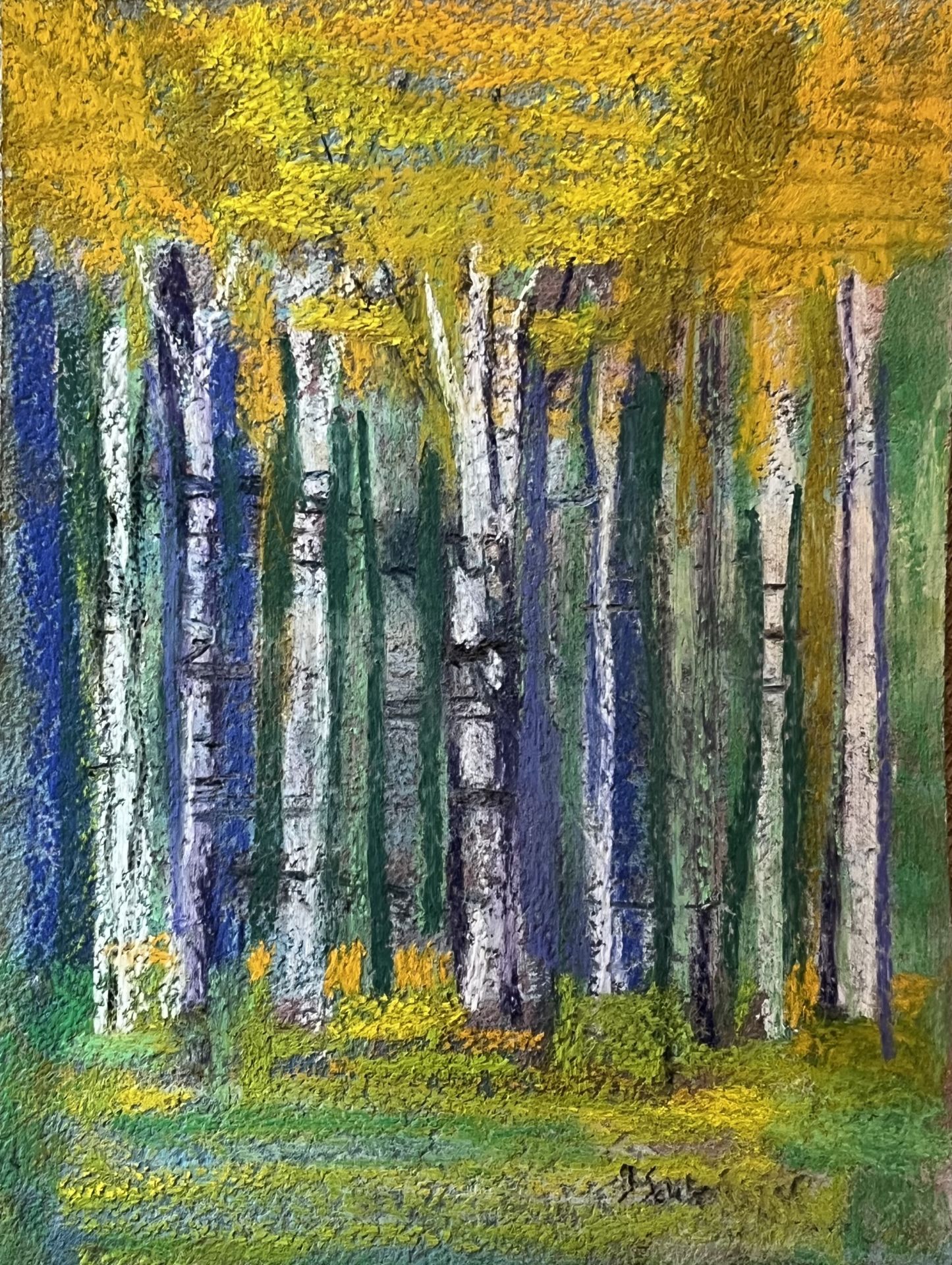Birch Trees (Autumn Splendor) | Dan Schlesinger