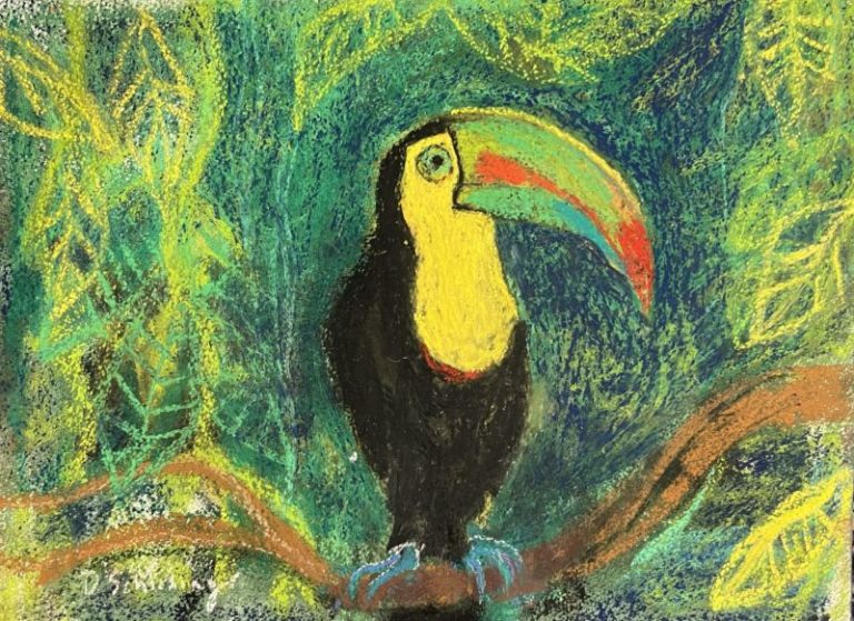 Toucan | Dan Schlesinger