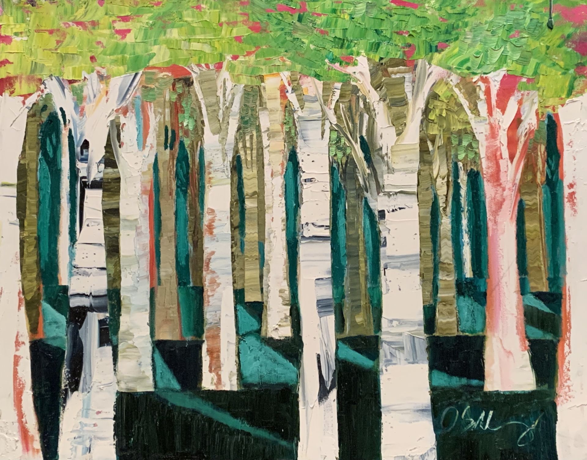 Birch Forest | Dan Schlesinger