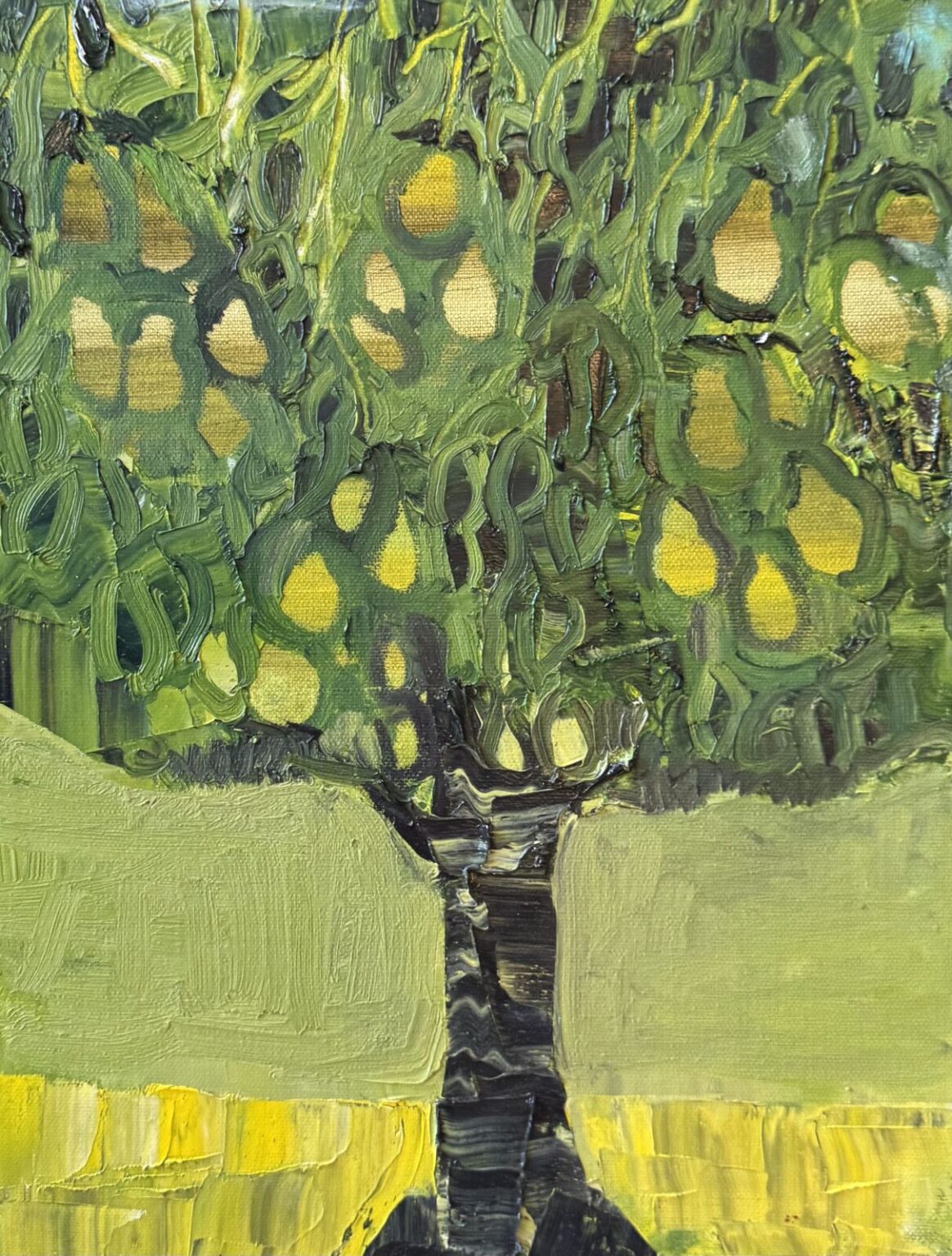 Pear Tree | Dan Schlesinger